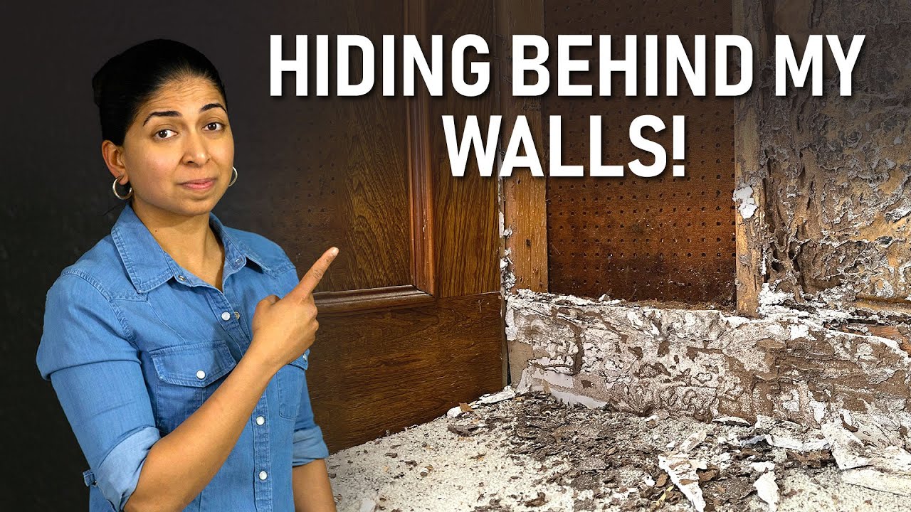 Termite Damage costs Texas homeowners $500 MILLION a year